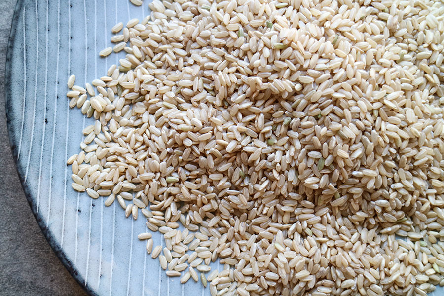 Är det farligt att äta ris? | Anja Forsnors blogg på ELLE.se!